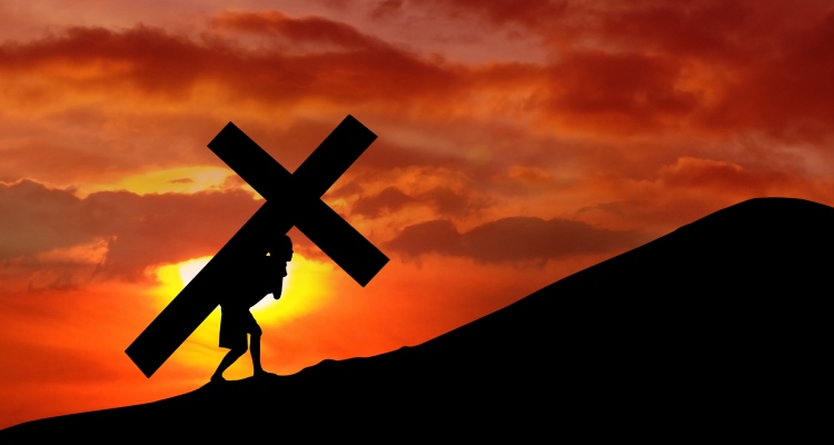 Suffering? Somebody Needs the Wood - OMTimes Magazine